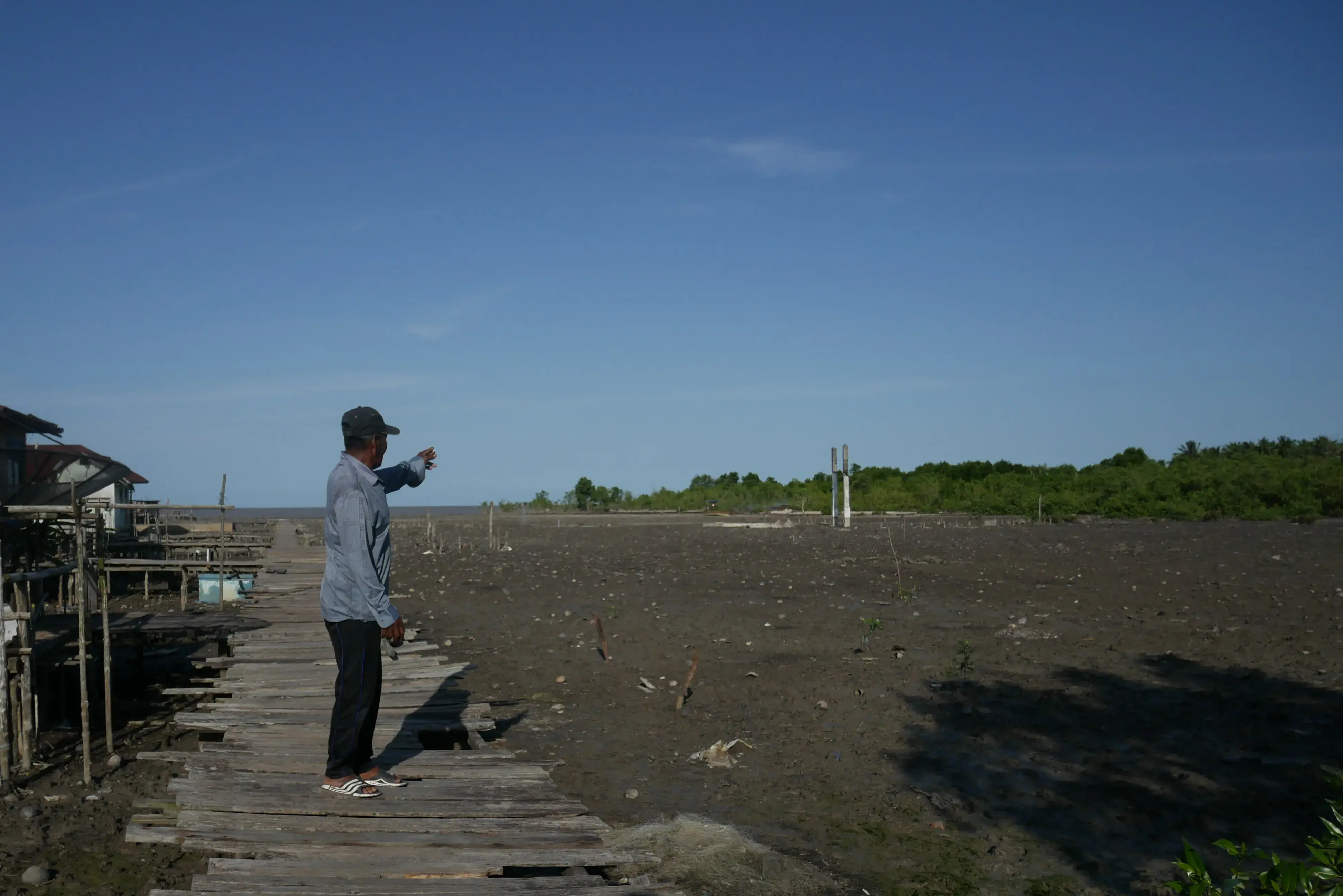 After Mangroves Disappear, Sumatran Village Braces for Worsening Tidal Waves | Pulitzer Center